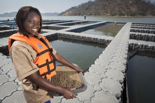 The O-fish-ial Women in Aquaculture – Trade Forward Southern Africa