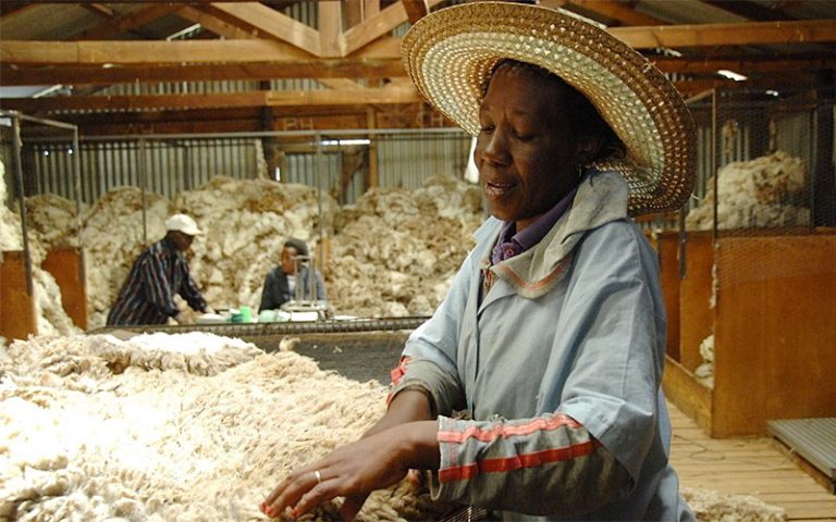 Finding a way forward: Sector reforms in Lesotho’s wool and mohair ...