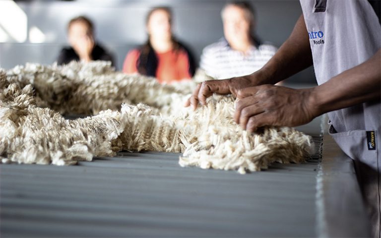 Lesotho: Farmers resume wool and mohair exports – Trade Forward ...