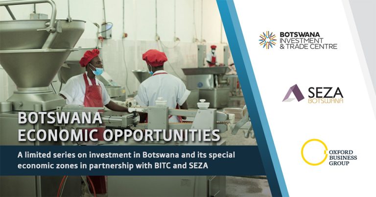 Botswana: Strategy for investment, exports and diversification through ...